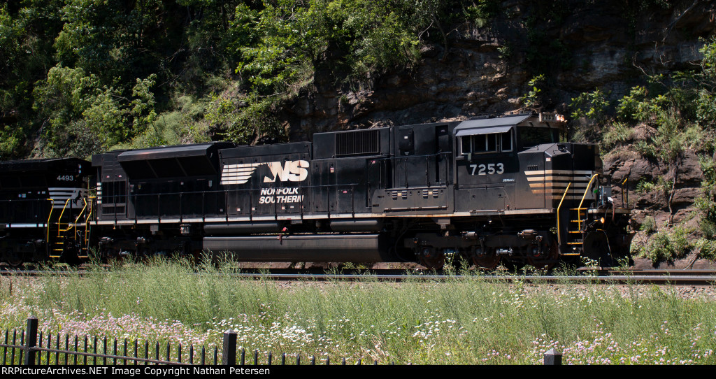 NS 7253